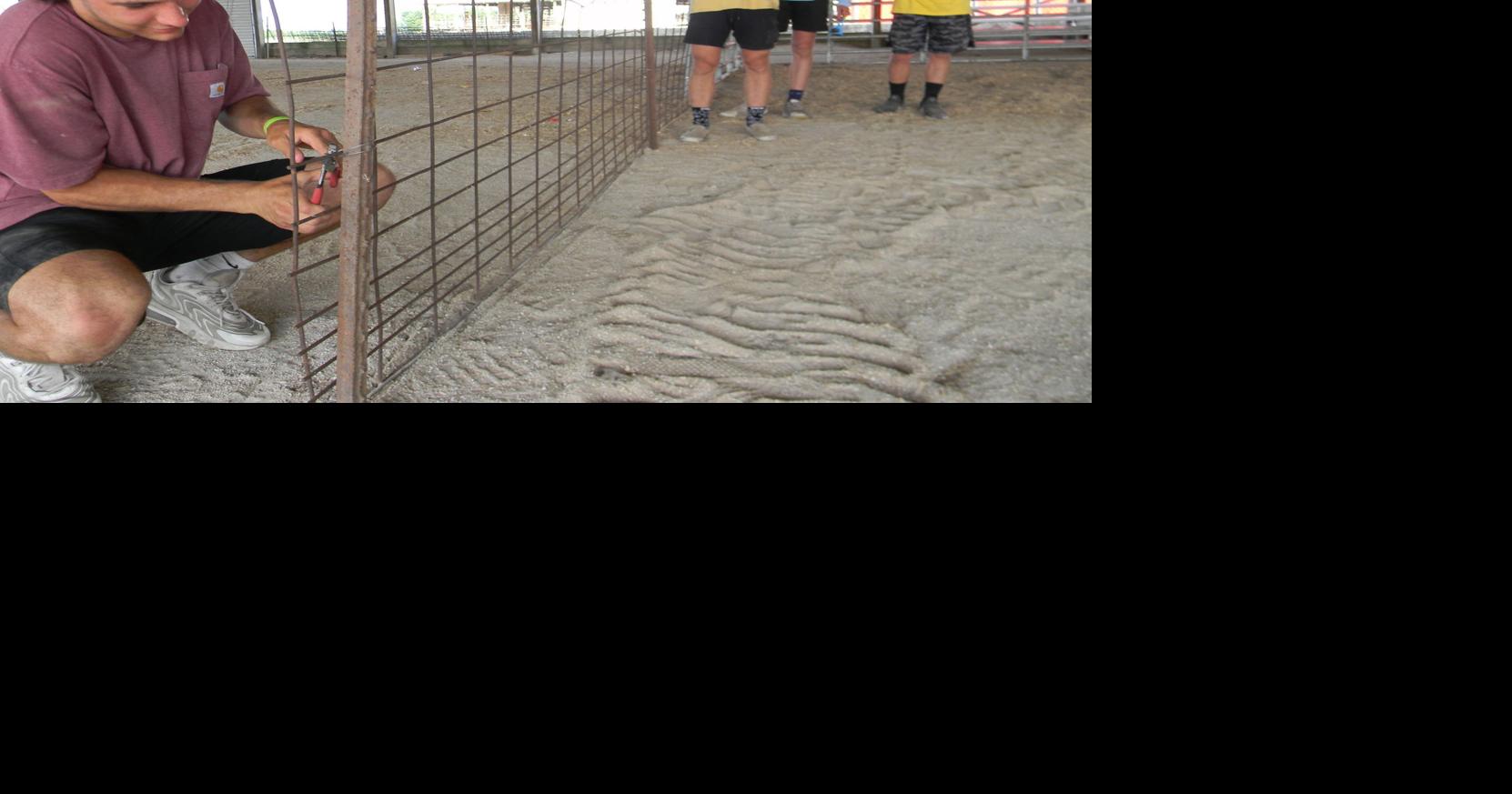 Henry County Fair