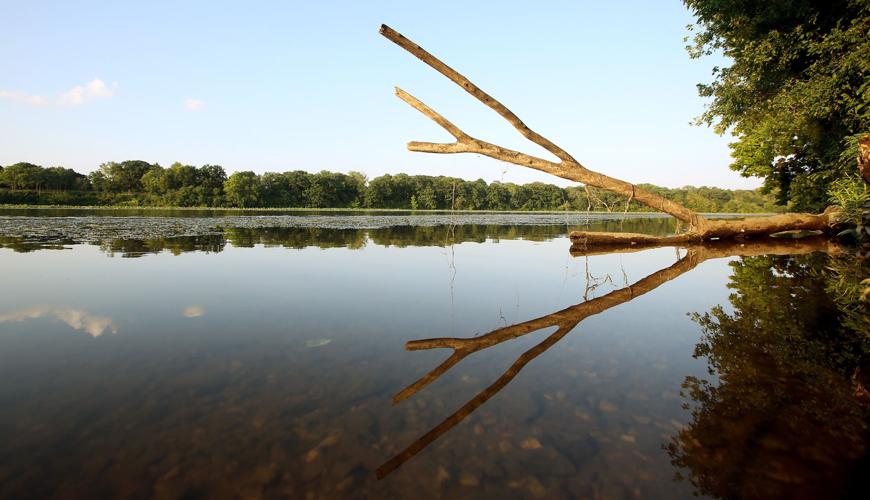 Volunteers prep overgrown Sylvan Island for Floatzilla