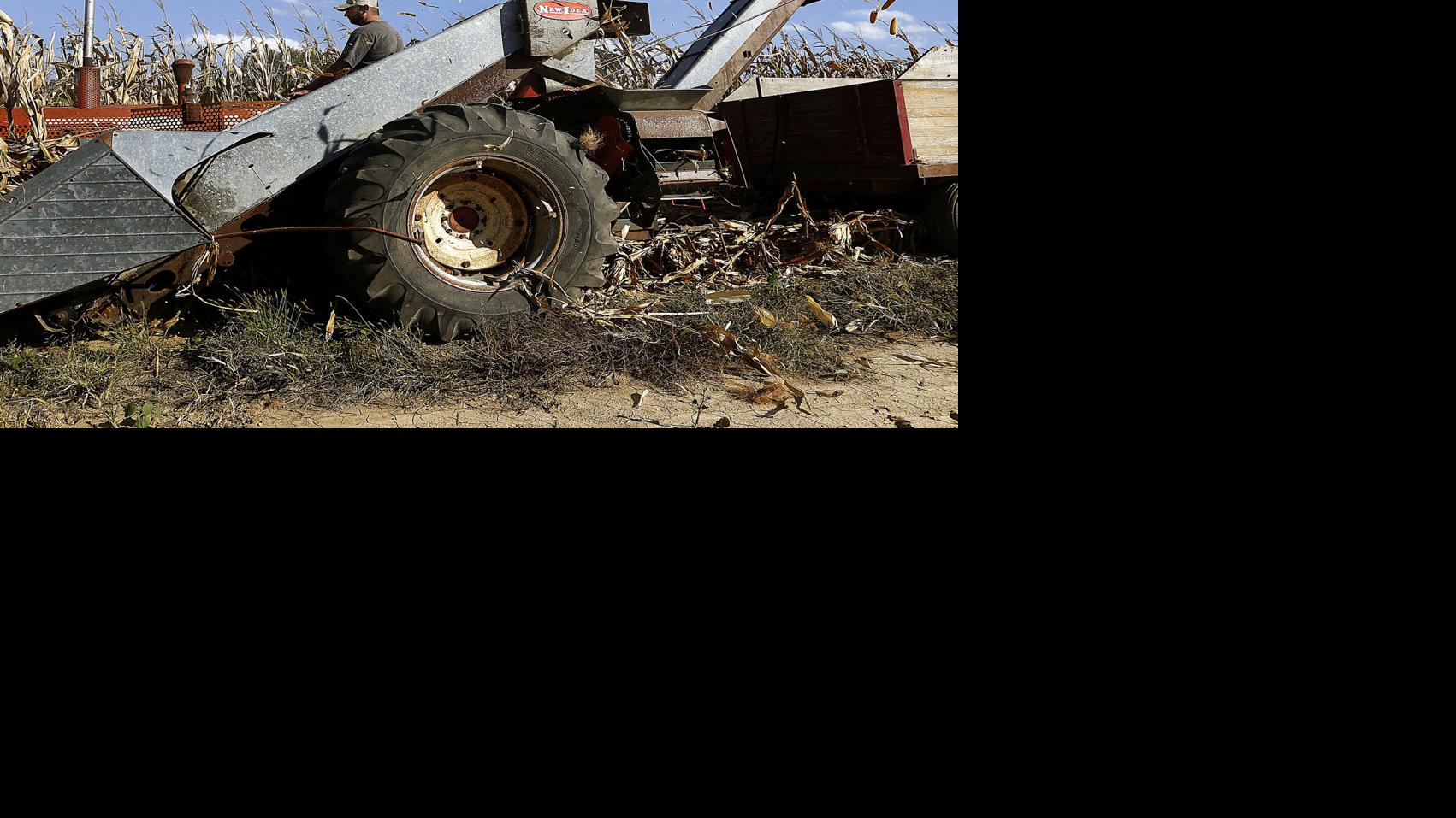 Photos: Vintage Corn Harvest | News - Local and National | qctimes.com