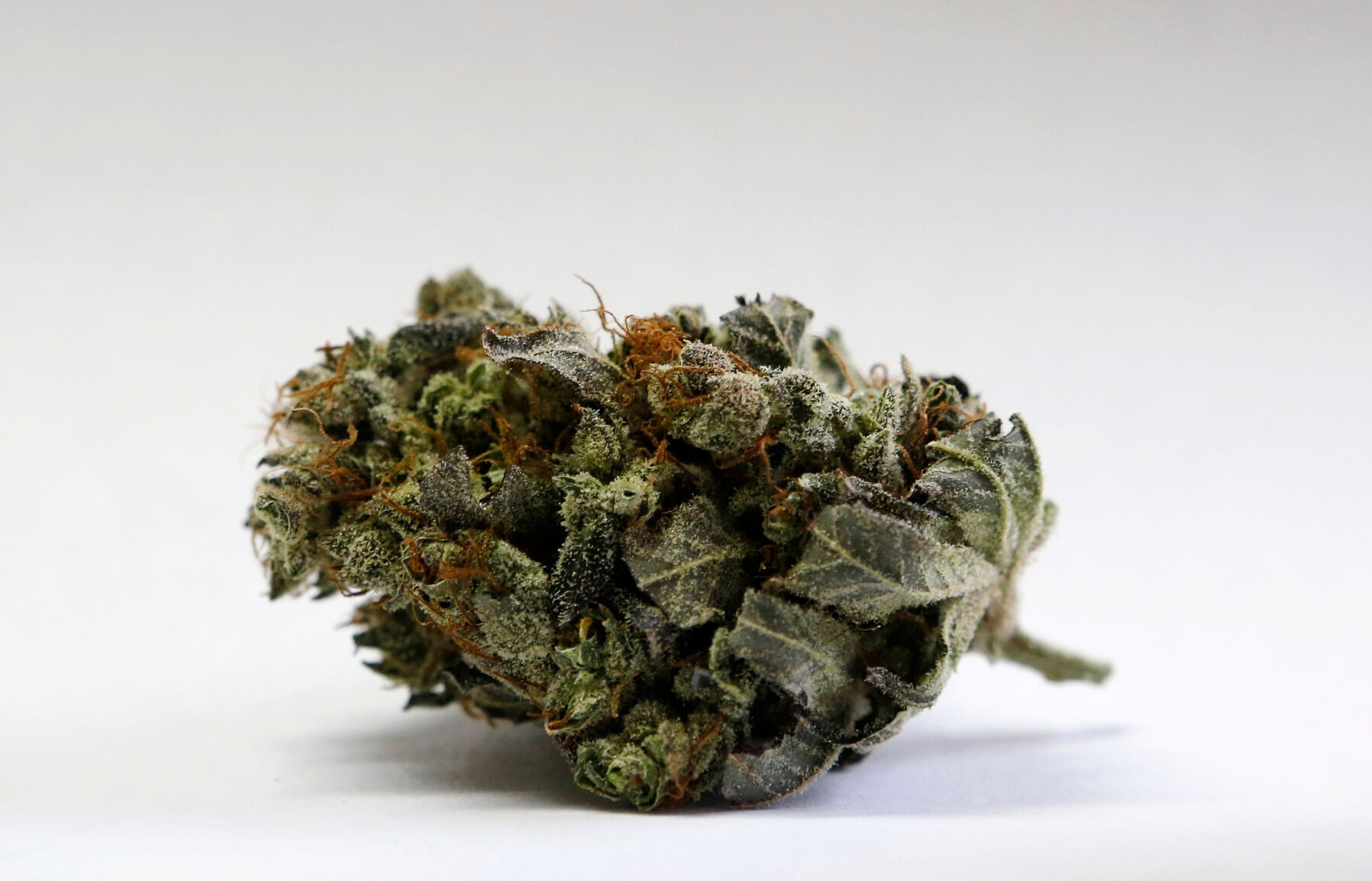 Trump pushes to reclassify marijuana as Schedule III drug