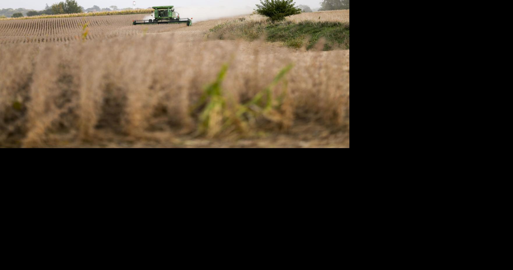 For many Iowa farmers, crop yields better than expected