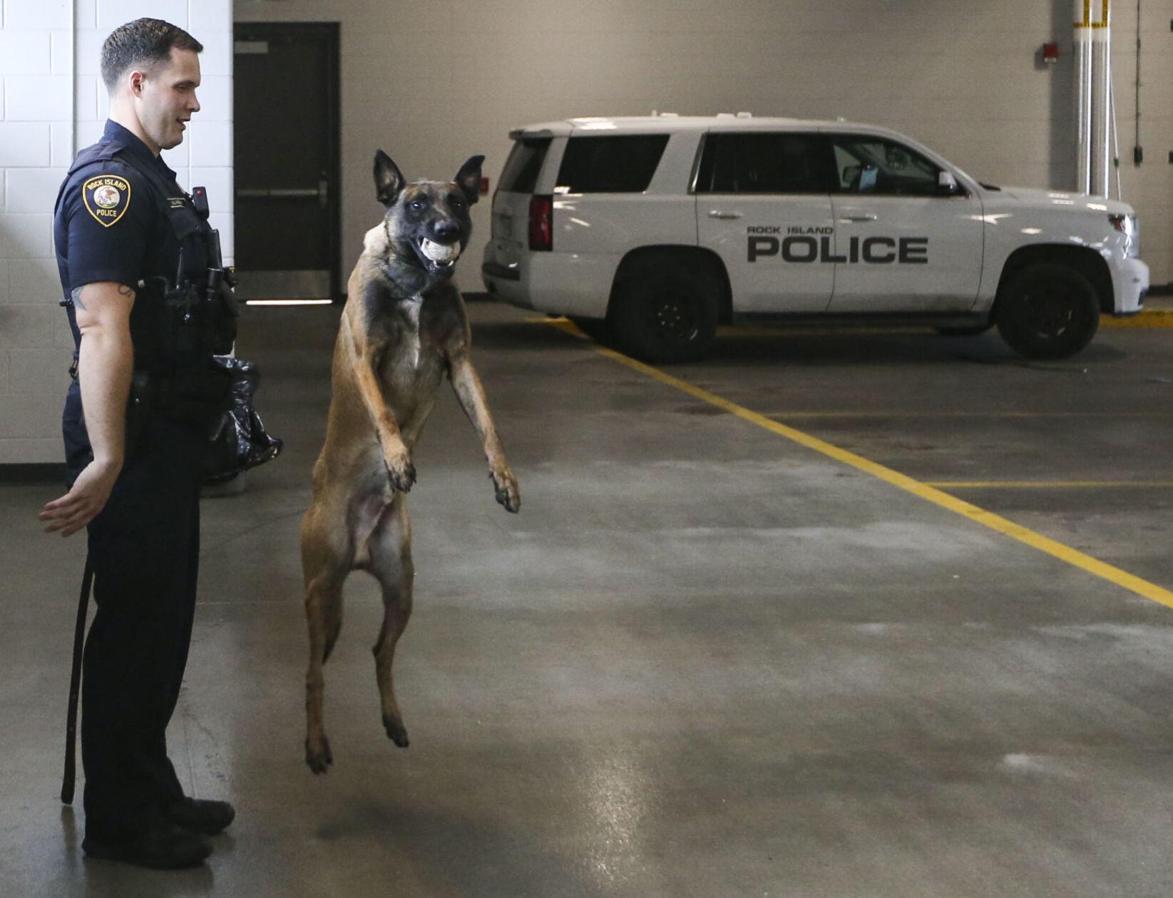 Photos: Rock Island police department has a new K9 officer