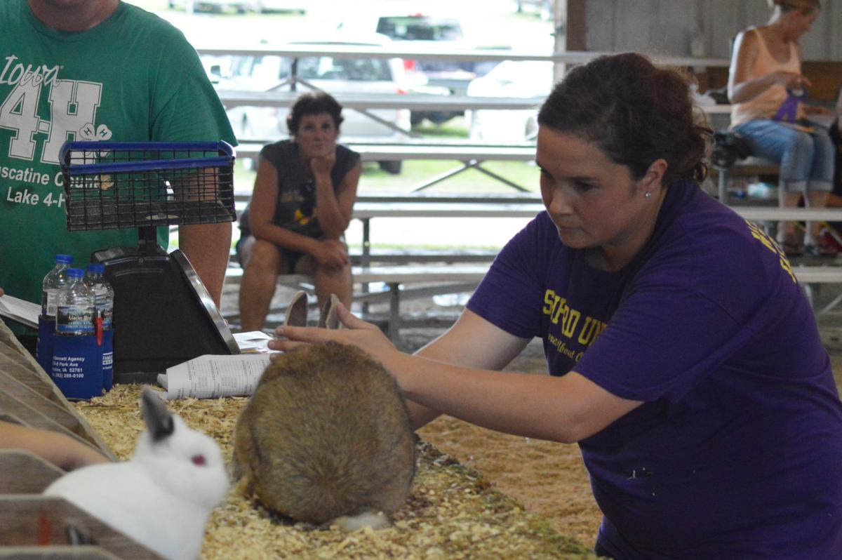 Winning by a hare at the fair