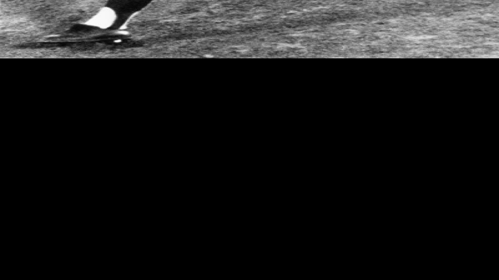 Legend back where it all began in Clinton | Midwest League Baseball ...