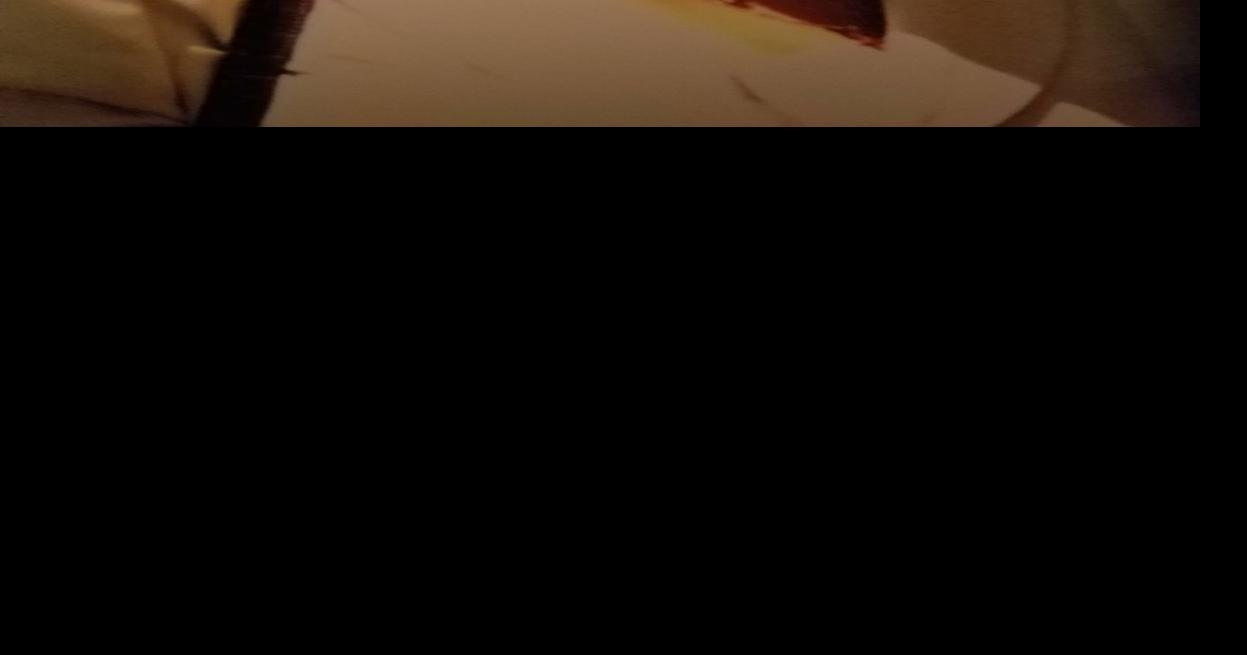 Margaret ‘Lulu’ Teague