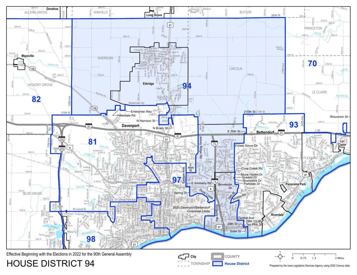 Meet the candidates for House District 94:second match-up of Phyllis ...