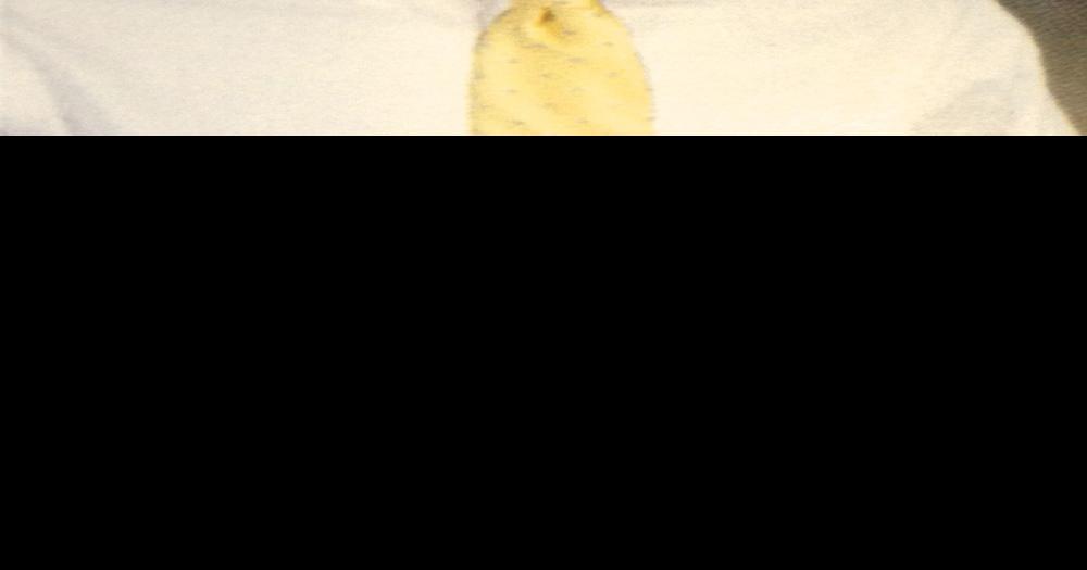 Who's in the news? Steven Etheridge