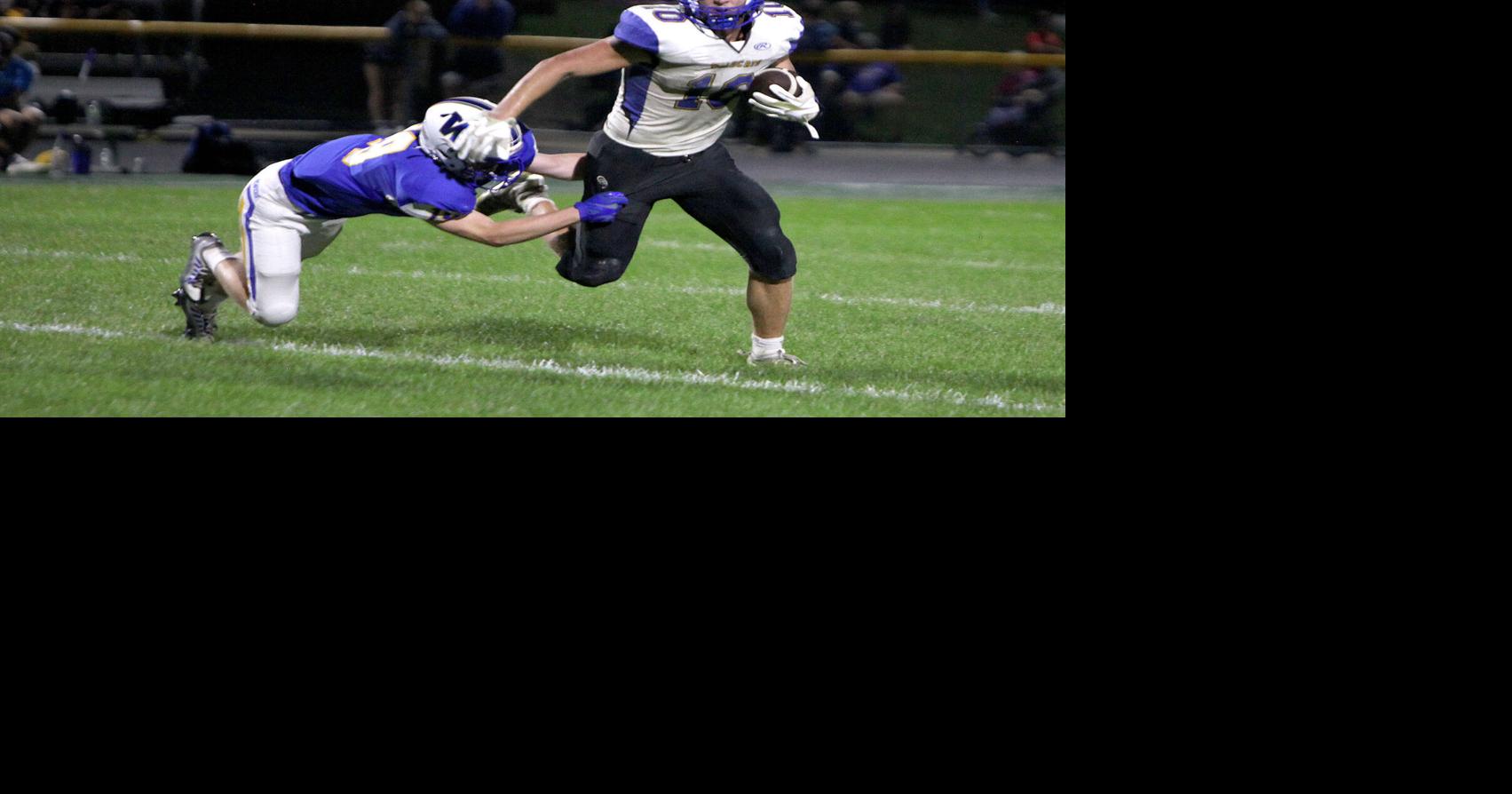 Quad Cities' Male Athlete of the Year: Durant's Nolan DeLong