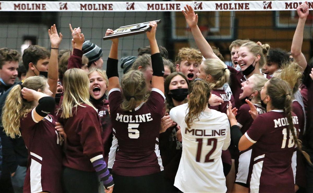Moline volleyball seeks postseason run with new coach, returning seniors