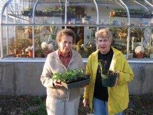 Longview Plant sale to be held April 26