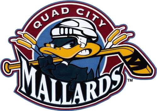 Mallards unveil new logo