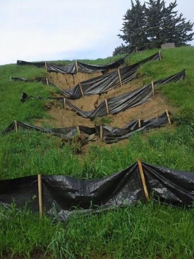 Moline city cemetery erosion worsens