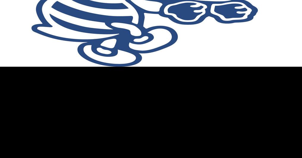 St. Ambrose Bees loose against Western Illinois University