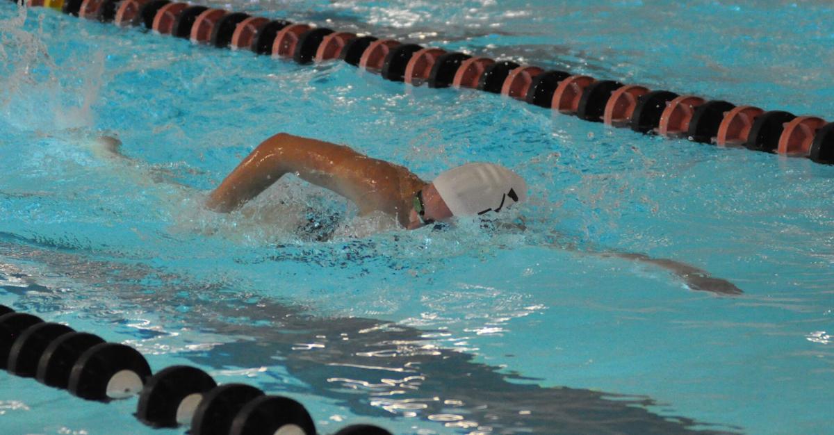ILLINOIS PREP SWIMMING: State Preliminaries and Final Capsule
