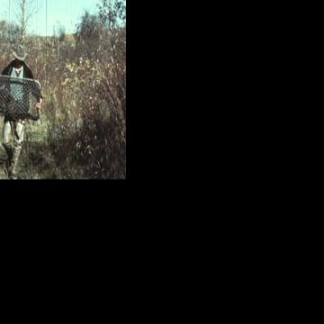 Idaho agency finds historic footage of parachuting beavers