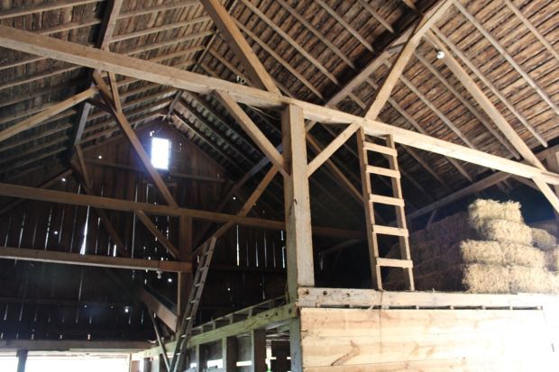 Barn tour promotes farm history