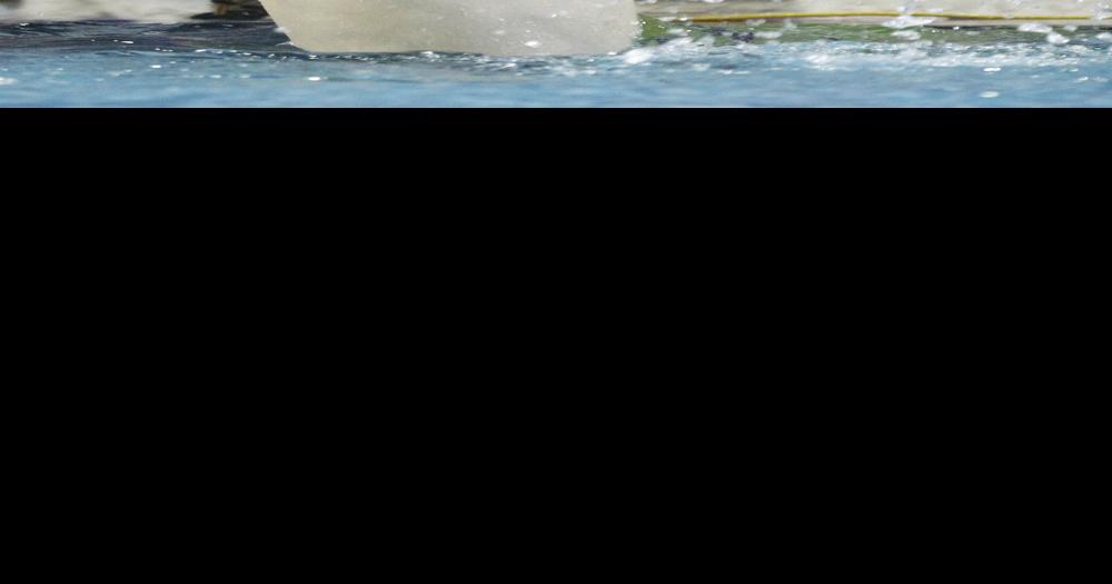 Muskies' Walton wins 2 more state swim titles; PV's Staver wins first