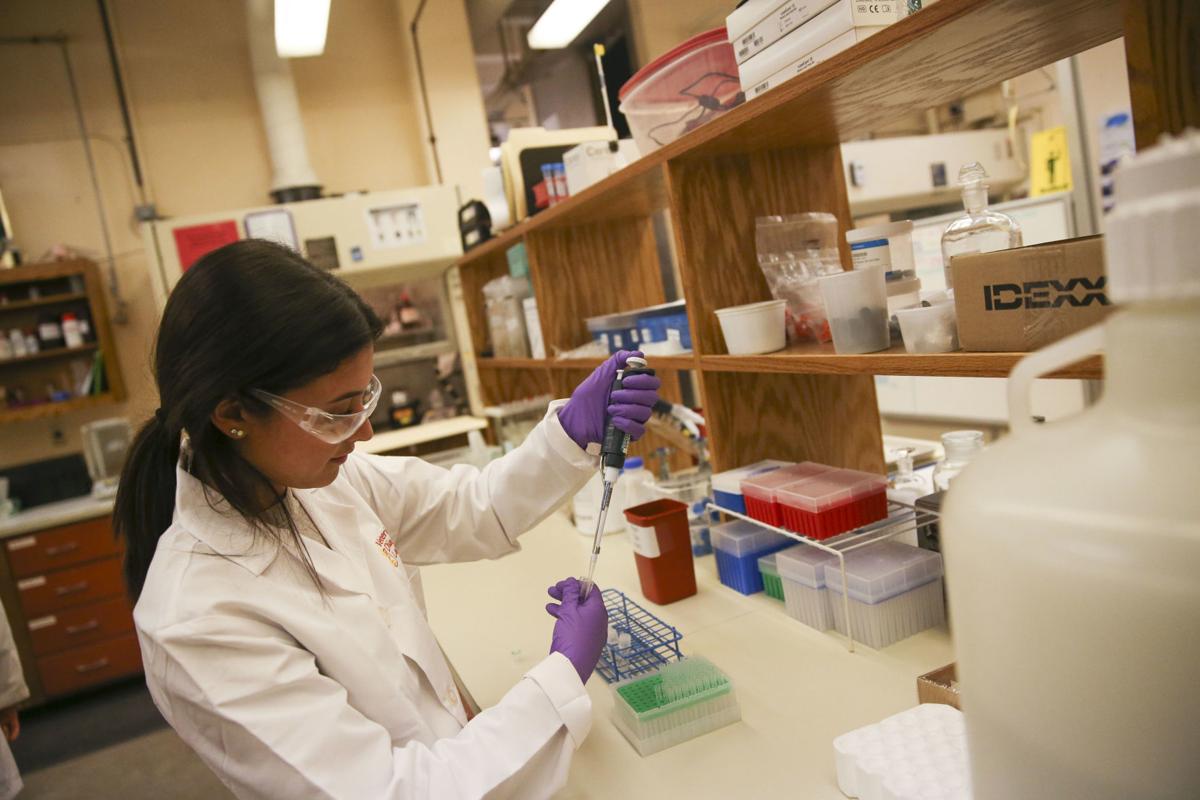 Key to agriculture, state animal lab faces uncertainty