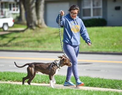 Humane Society of Scott County creates new podcast