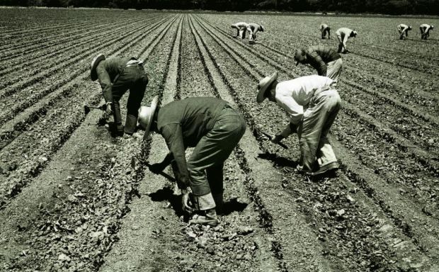 Exhibit looks at Mexican labor program