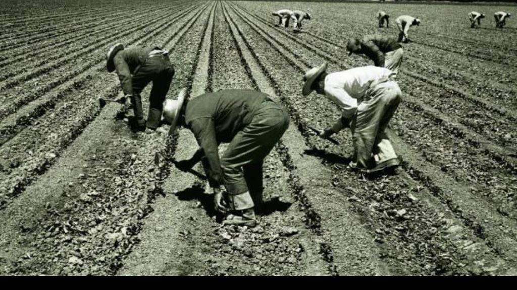 Exhibit looks at Mexican labor program | | qctimes.com