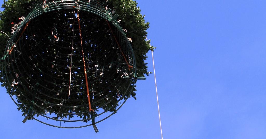 Photos: 2012 Kone Christmas tree hoisted