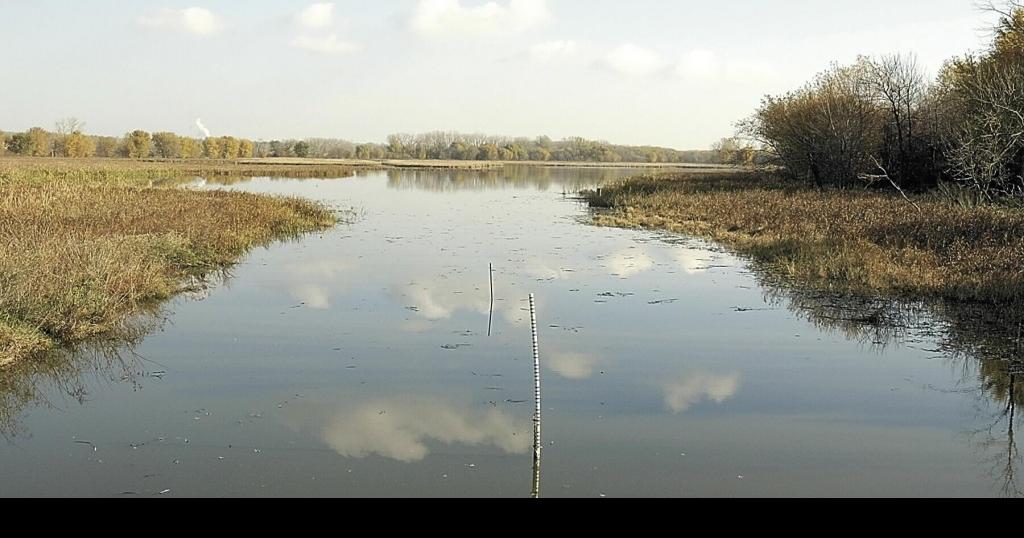 'Make Friends with the Marsh' project planned