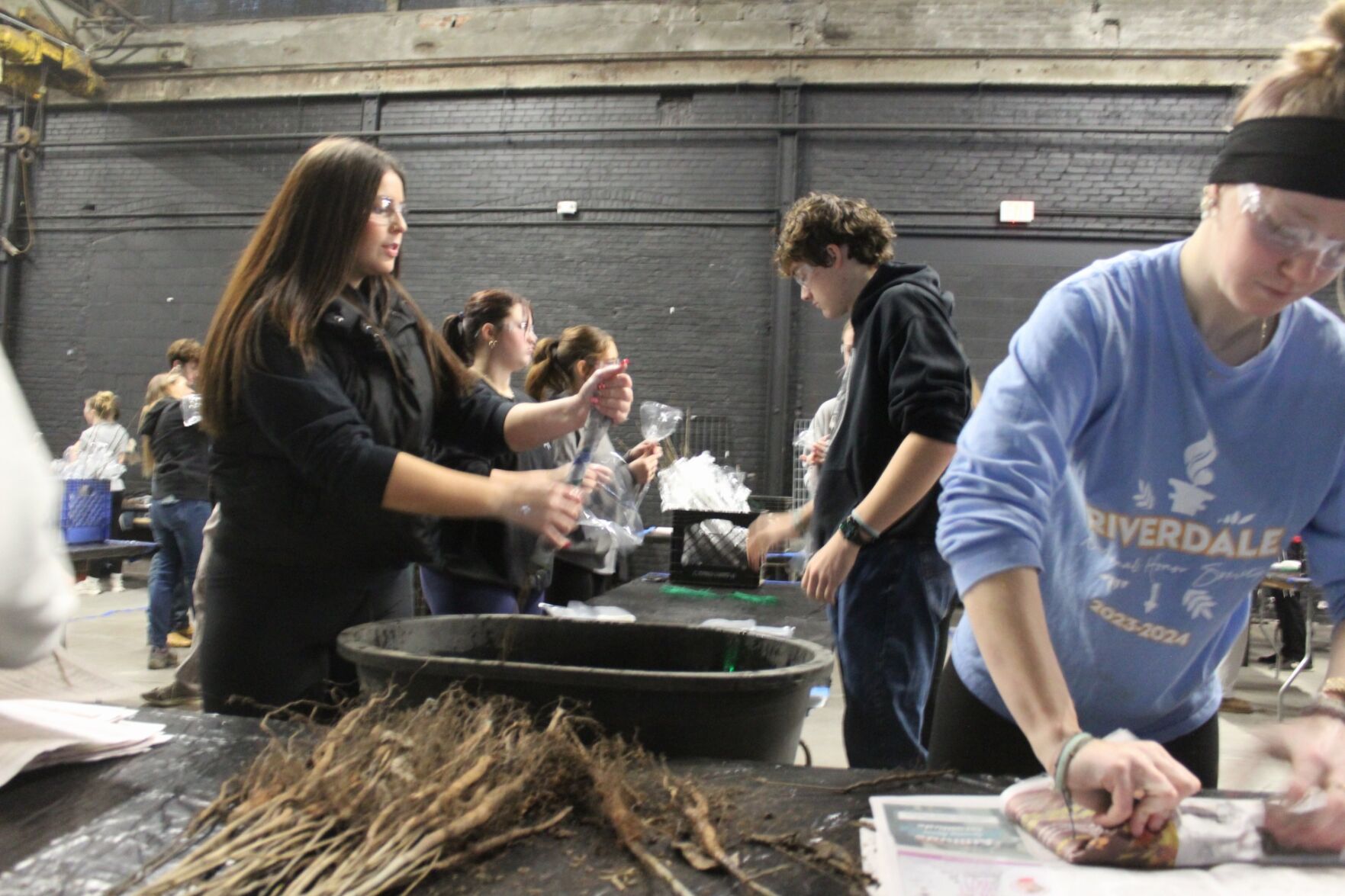 Students aid conservation efforts with tree wrapping