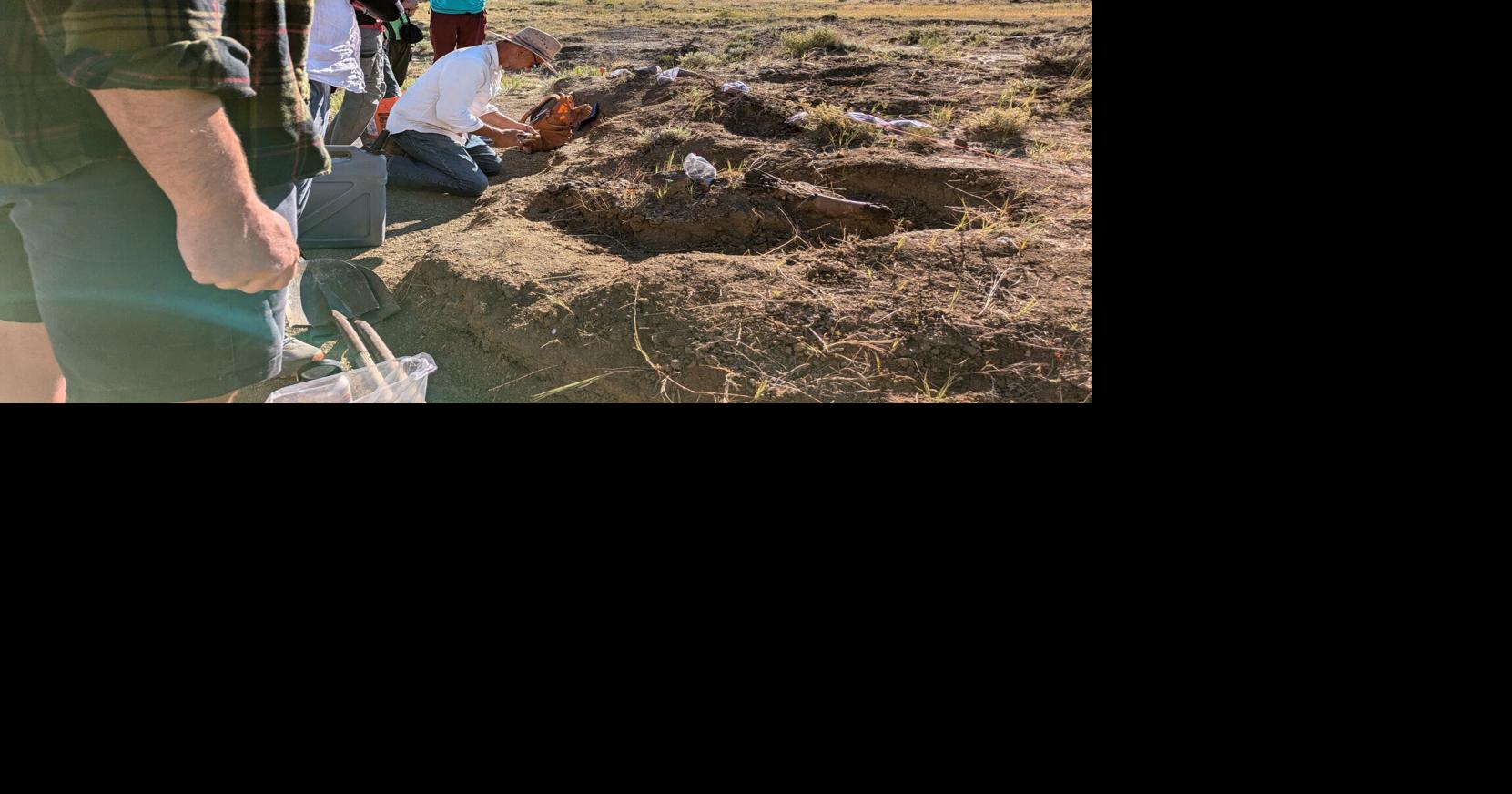 Putnam to add triceratops skeleton, help with dig site