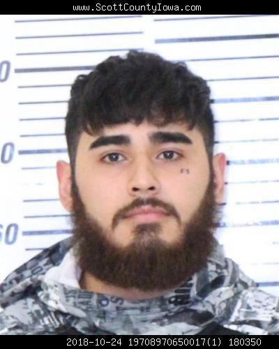 Florida woman released on own recognizance on felony charges fails to ...