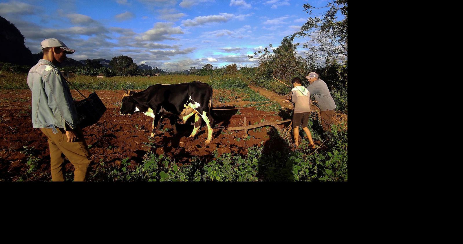 Column: Let's build lasting bridges in Cuba