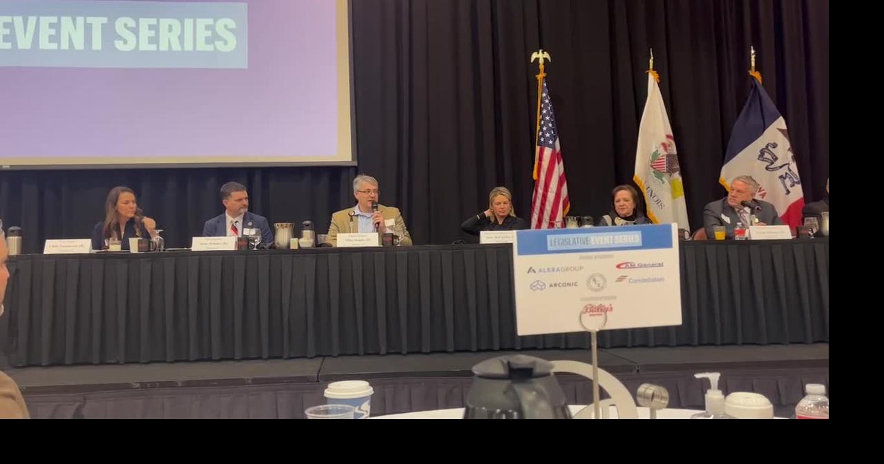 Illinois Democratic Sen. Mike Halpin discusses goals he hopes to ...