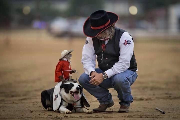 World's Toughest Rodeo returns to iWireless