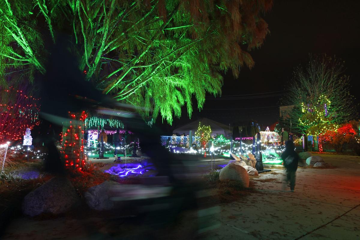 Quad City Botanical Center's Winter Lights on opening night
