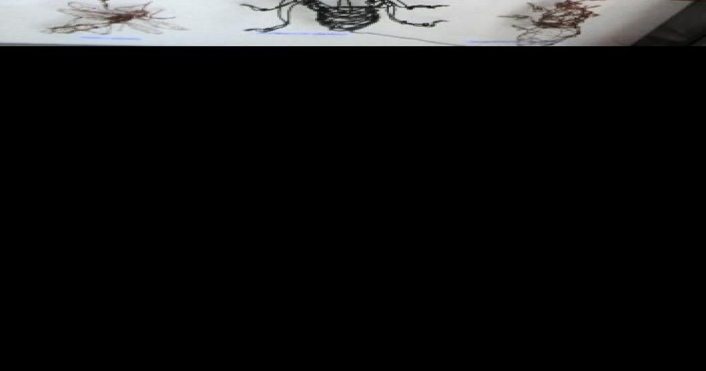 Wire insect art at the Botanical Center