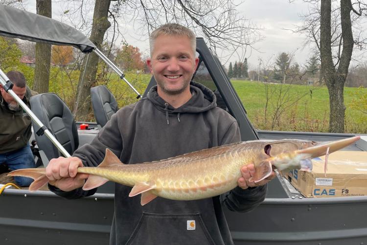 record sturgeon caught