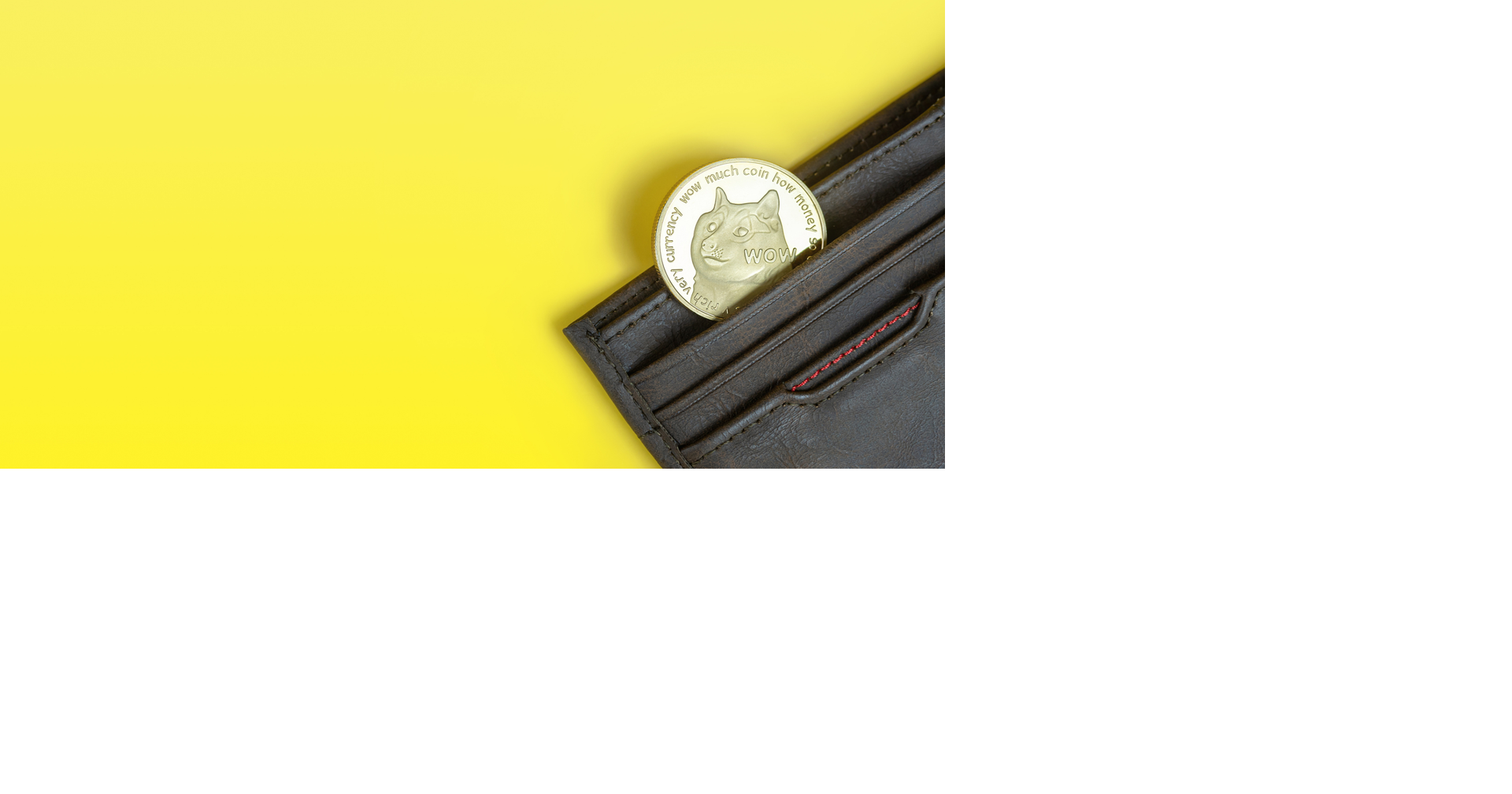 Institutional positions surge in meme coins in 2024
