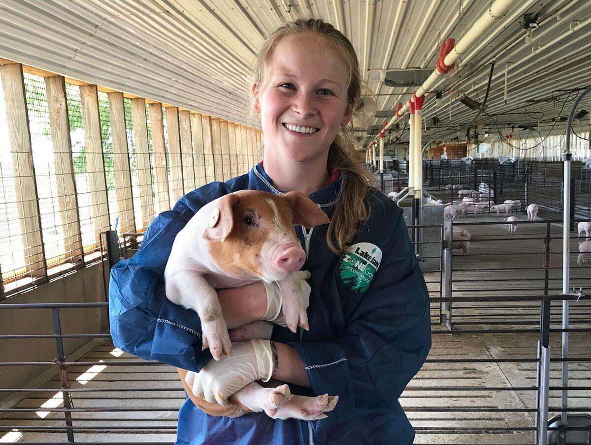 Demand for large animal veterinarians still strong in Iowa