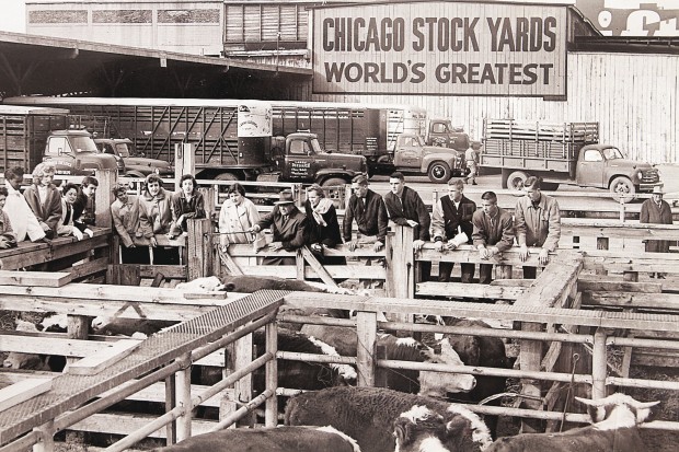 Chicago Stockyard memories live on through auction | Local News ...