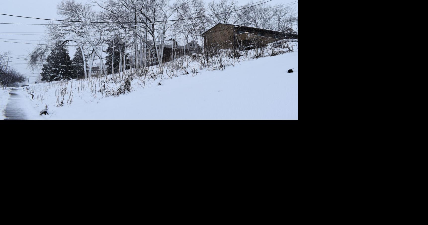 Snowfall covers trees along Perry St. in Davenport
