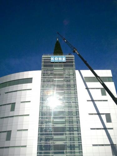 Kone tree rises to the top