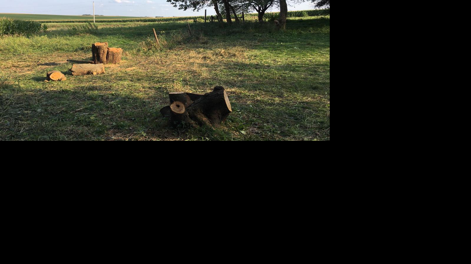 GAUL: Bringing nature home to the farm | Alma Gaul | qctimes.com