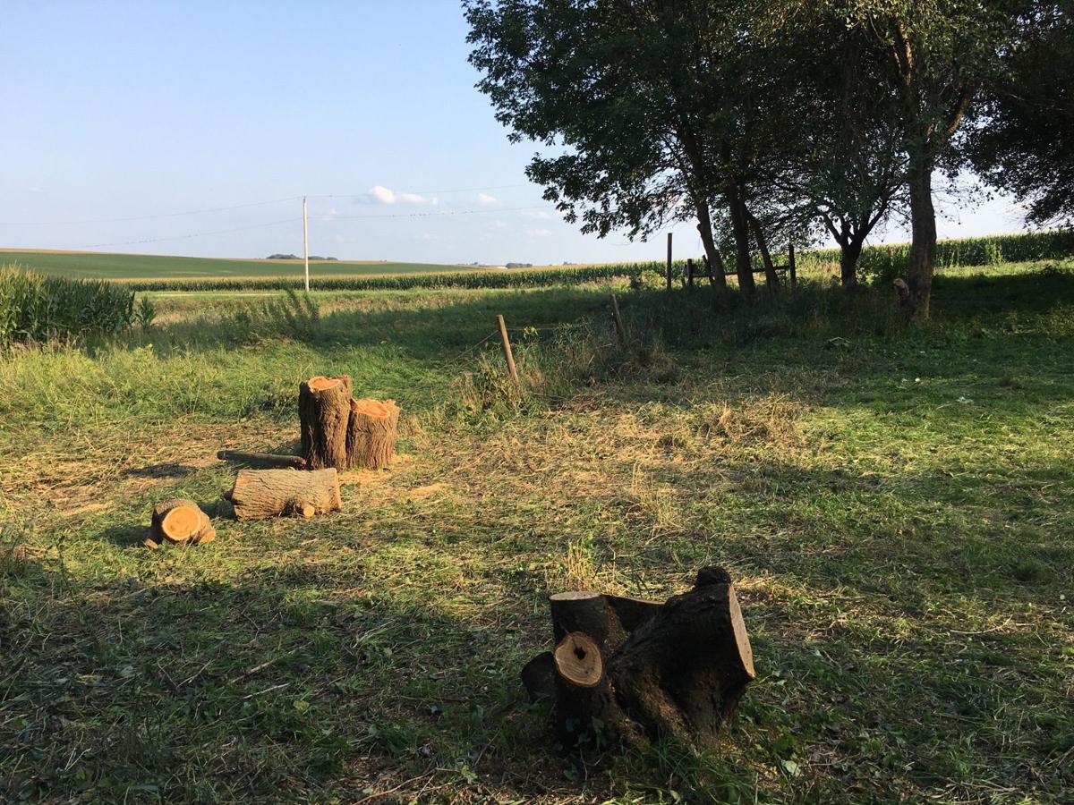 GAUL: Bringing nature home to the farm