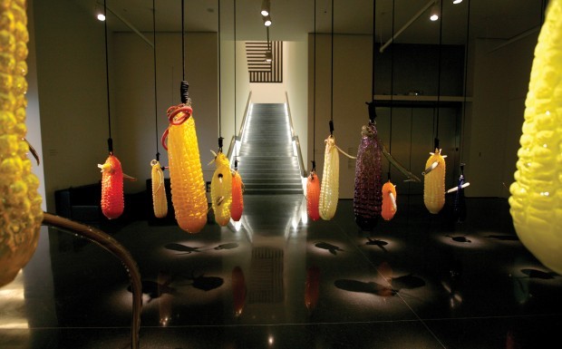 Donor purchases corn installation for Figge Art Museum