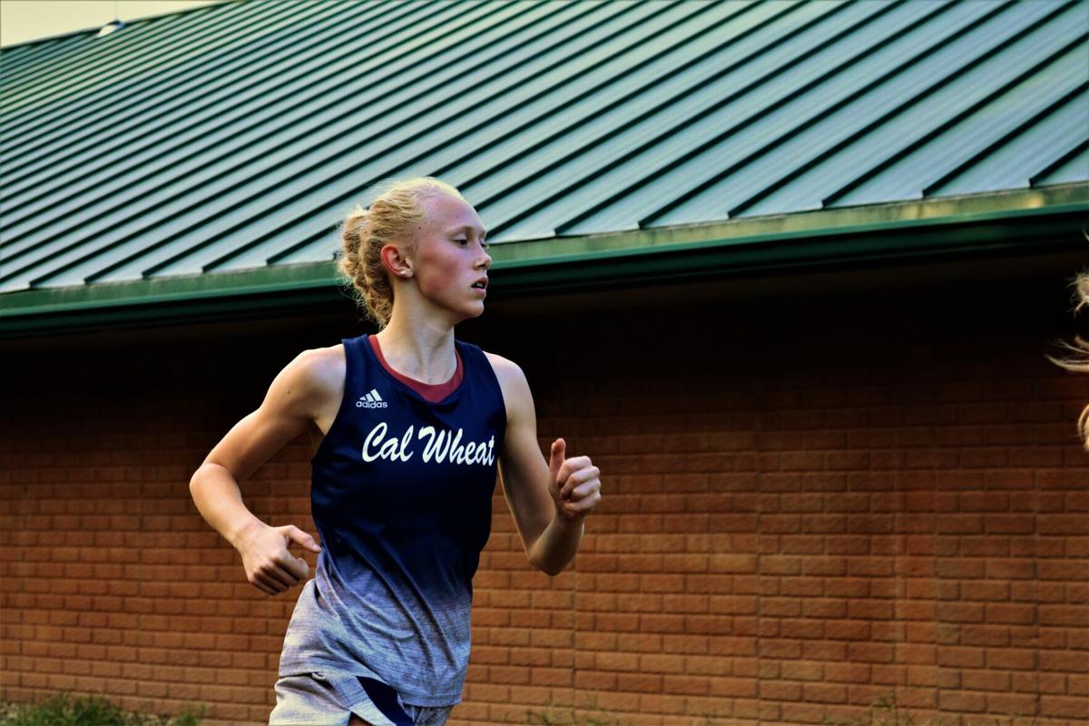 Iowa Class 2A/1A state-qualifying cross country outlook