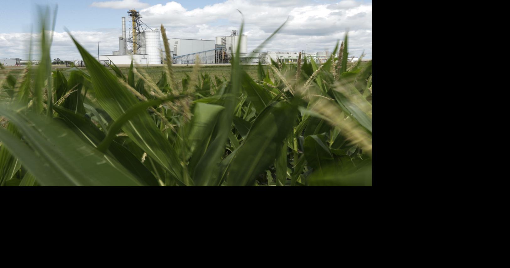 Iowa officials disappointed in EPA rule on biofuels mandates