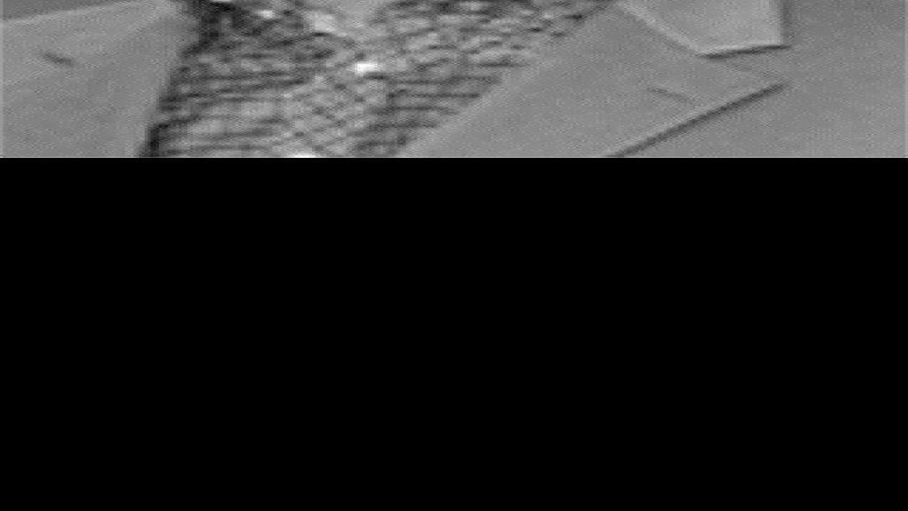 Roy Carver Jr. | | qctimes.com