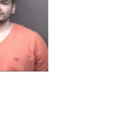 Moline police gunning for illegal firearms and drugs
