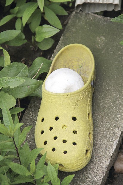 Anyone can find a penny | Barb Ickes | qctimes.com