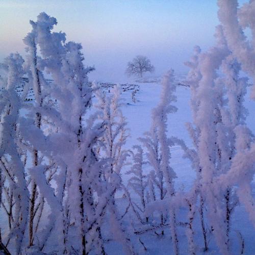 With an iPhone and a new lease on life, photographer documents a lone ...